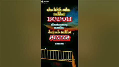 Foryou Free Story Storywa Fypシ Storywalagu Fyp𓃝 Youtube