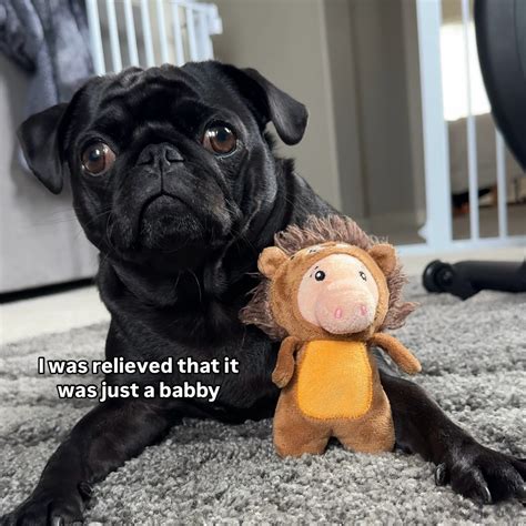 Winnie And Cho Winnieandcho • Instagram Photos And Videos