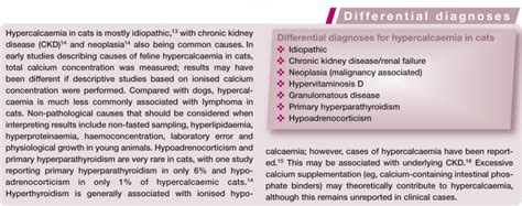 Hypercalcaemia In Cats The Complexities Of Calcium Regulation And