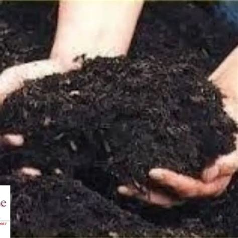 Organic Bio Compost At Rs 10 In Pune Id 7771714 Miracle Ecocare