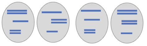 Bio 321 Unit 6 Lecture 2 Flashcards Quizlet