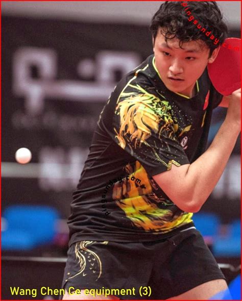 Wang Chen Ce Equipment Pingsunday
