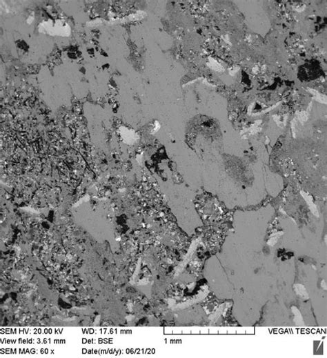 Sem Of The Worn Surface Micrograph Of A C0 And B C7 Download