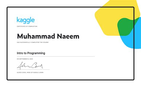 Muhammad Naeem Completed The Intro To Programming Course On Kaggle