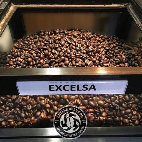 Excelsa Beans Or Ground Premium Quality Coffee Beans Ph Home Of
