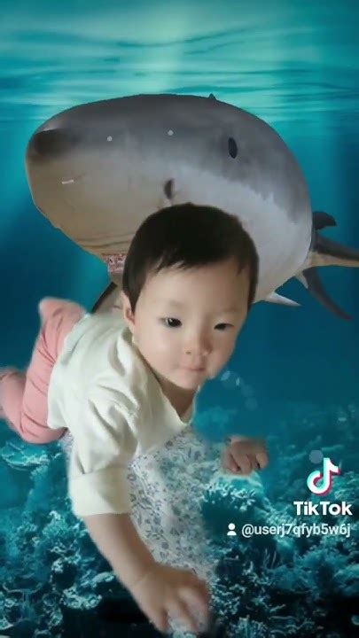 아기 아기상어 Youtube