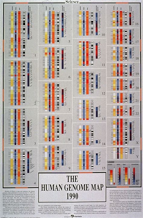 Revealing Data Visualizations In Historical Collections Circulating