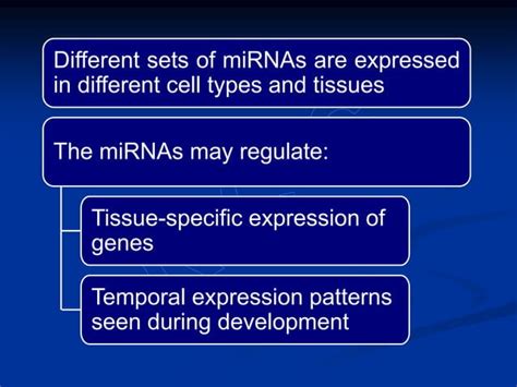 Rna Interference Ppt