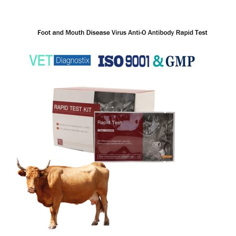 Foot Mouth Disease Virus Anti O Antibody Rapid Test Ovine Antibody