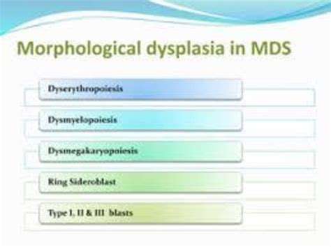 Mds Morphologic Classification Based On Maturation Dysplastic And