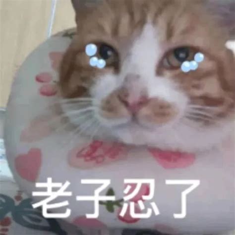 表情包｜晚安 我请了蚊子 今晚来亲你 不用谢相关表情包表情包专辑 求表情网斗图从此不求人