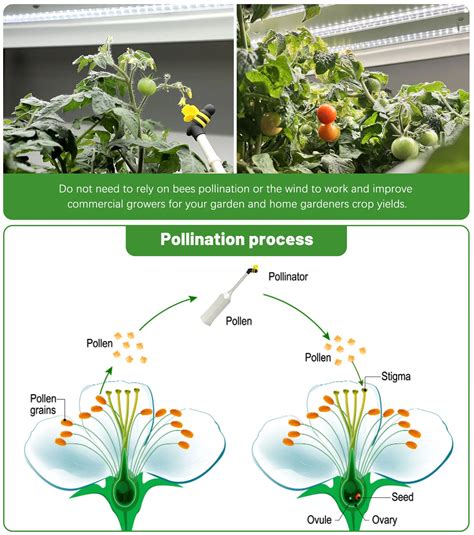 Electric Tomato Bee Pollinator Tool Increase Yield By 300