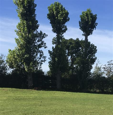 Gently Sloping Grass Pitch The Old Sun Campsite And Airbnb