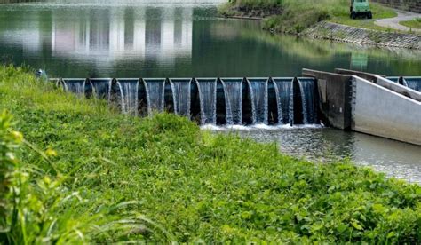 What Is A Floating Weir At Simona Brown Blog