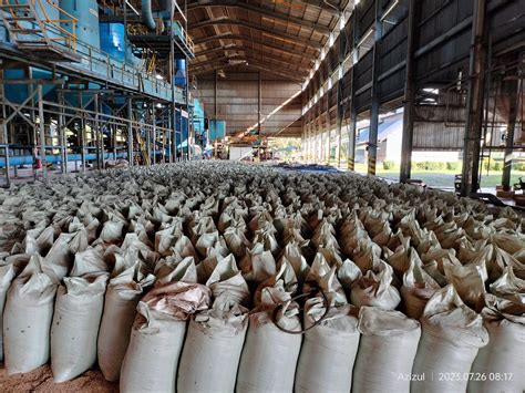 Palm Kernel Expeller Inaexport Palm Kernel Expeller Inaexport