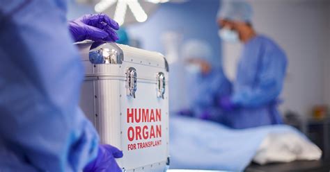 Los 8 Pasos Del Proceso De Donación Y Trasplante De Un órgano Como El