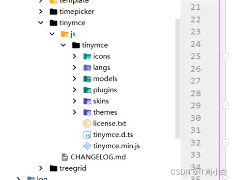 tinymce富文本使用过程 tinymce汉化 csdn博客