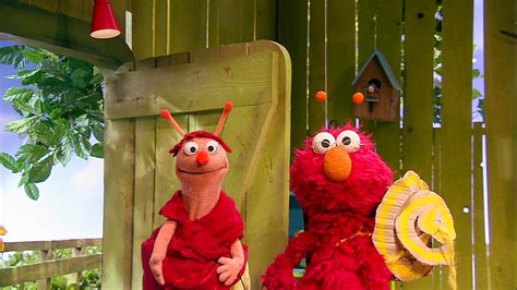 Elmo Will Bus Fahren Ndrde Fernsehen