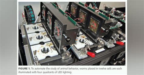 automated vision system speeds behavioral analysis research vision