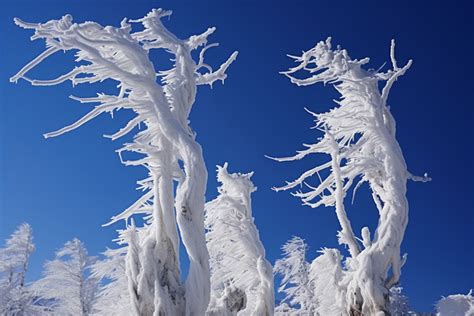 뒤에 산이 있는 맑고 푸른 하늘 계절 구름 김녕해수욕장 배경 일러스트 및 사진 무료 다운로드 Pngtree