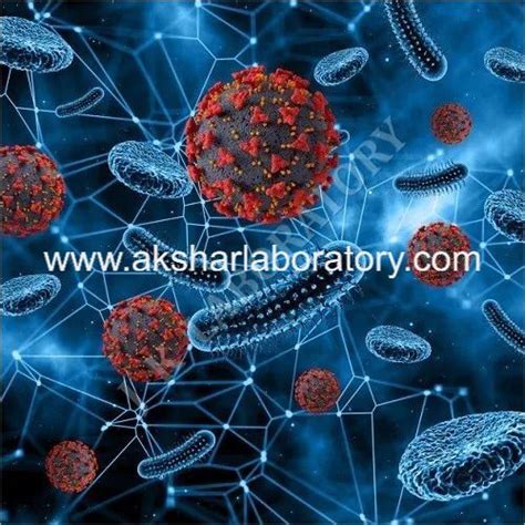 Microbiological Testing Services At Best Price In Pune Maharashtra