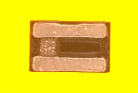 2 Object Detection Dataset By Ragnar Lodbrok