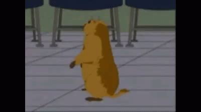 Dramatic Look Gopher S Tenor
