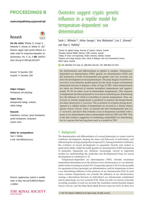 Ovotestes Suggest Cryptic Genetic Influence In A Reptile Model For