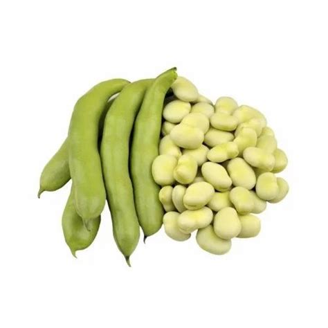 Fava Bean 30 Kg At ₹ 100 Kg In Aligarh Id 2856873973562