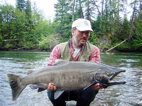 Kispiox River Flow At Linwood Morales Blog