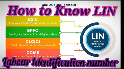 How To Check Lin Online How To Know Lin Labour Identification