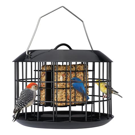 Kingsyard Squirrel Proof Suet Feeder Cage Bird Feeders For Outdoors Hanging All Metal Double