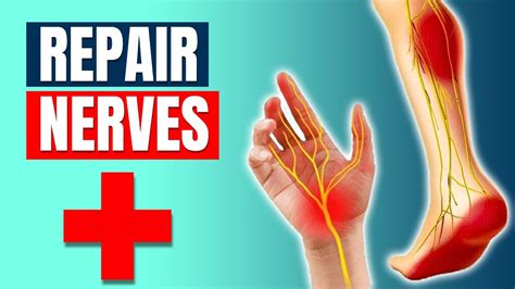 How To Repair Nerve Damage Top 10 Remedies Youtube