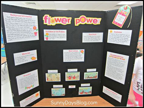 Science Fair Made Easy And Free Sunny Days In Second Grade