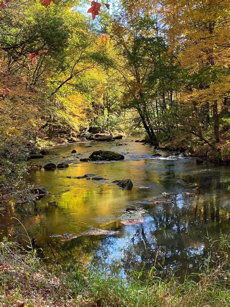 Captivating Fall Scene A River Surrounded By Trees