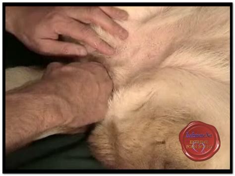 Man Beastiality Club