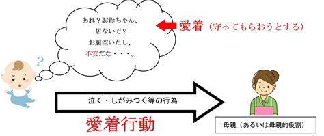 愛着形成の意義 愛着はどのように形成されるのか Utev