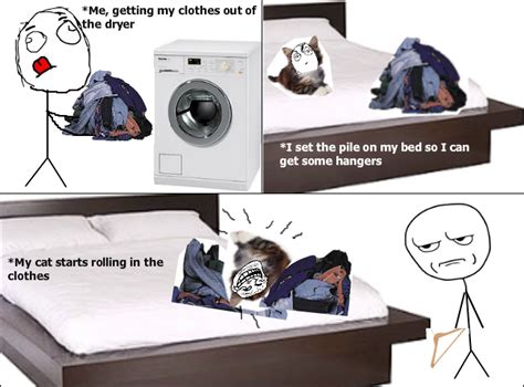 Cats Meme Subido Por Adele001 Memedroid