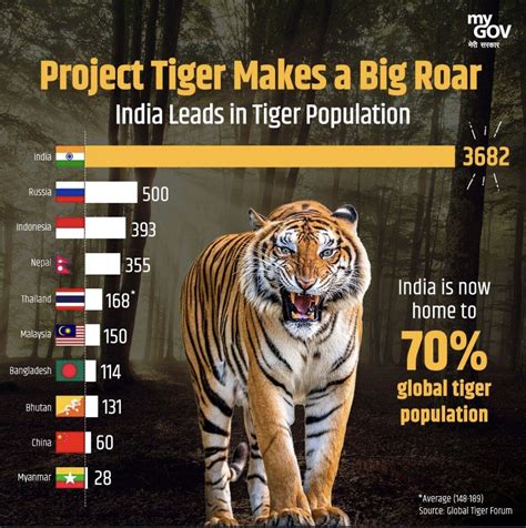 India Biodiversity Sustainability Environment Future Tigers Conservation Wildlife