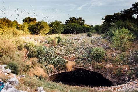 Hidden Summer Bat Caves In Texas Hill Country Touristsecrets