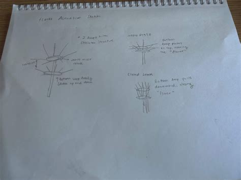 week 0 parametric design · home