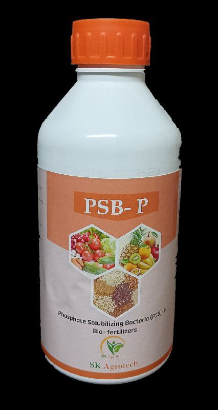 Phosphate Solubilizing Bacteria Psp Application Soil Sk Agrotech