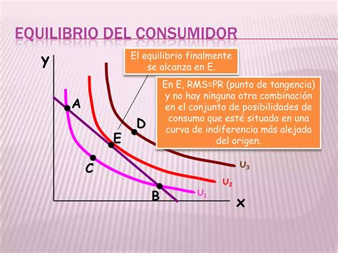 Teoría Del Consumidor Pptx
