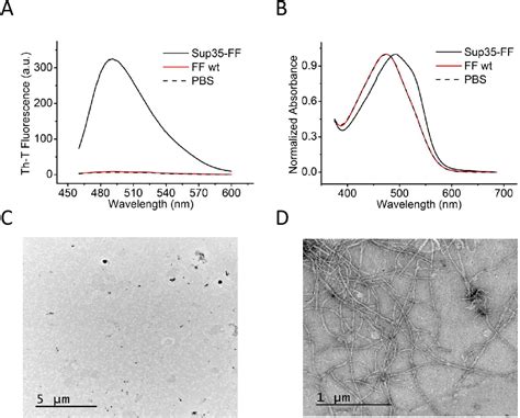 Figure 3 From Prion Soft Amyloid Core Driven Self Assembly Of Globular Proteins Into Bioactive