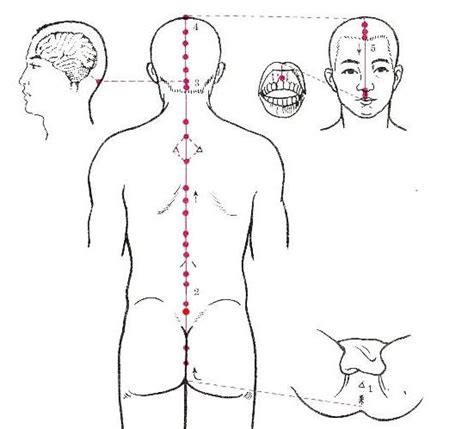 奇經八脉 雲水人間的分享部落格 Udn部落格