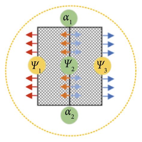 Schematic Diagram Of Training Basis And The Continuation Method