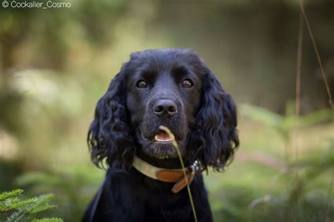Alicia Staebler Adlı Kullanıcının Joey Panosundaki Pin