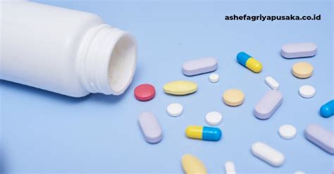 Apa Itu Obat Codein Ashefa Griya Pusaka