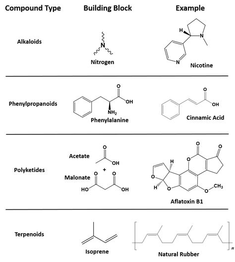 Organic Compounds Examples Everyday Life