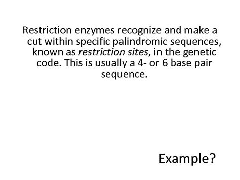 Restriction Enzymes Restriction Enzymes Enzyme That